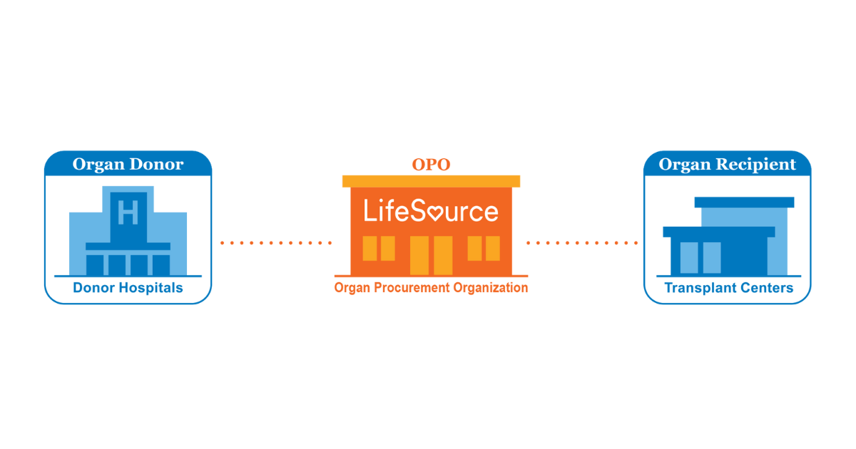 Who makes organ donation possible? Understanding the teams behind the ...